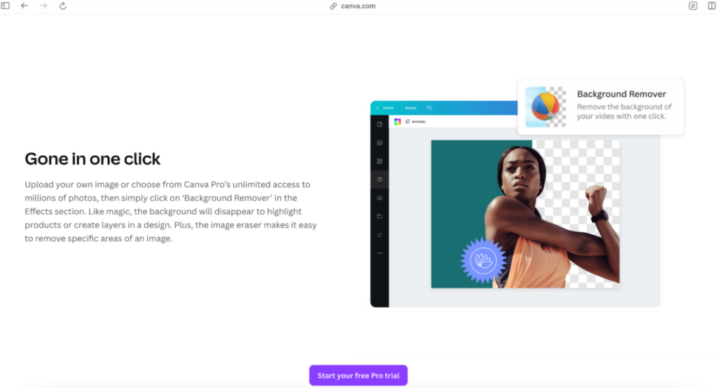 Canva Create 2024 Update: New Features and Design Tools Explained